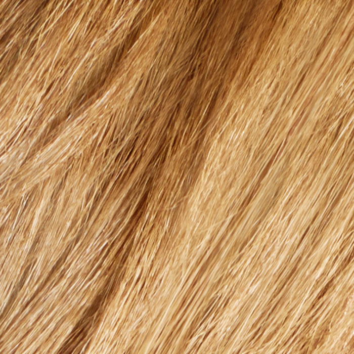 Light Golden Blonde Permanent Hair Color | SoftSheen Carson