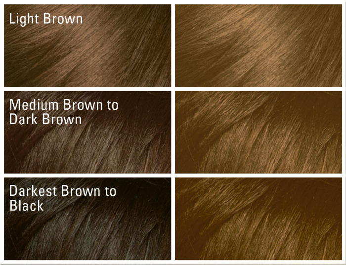 Fade Resist Sunkissed Brown Hair Color | SoftSheen Carson